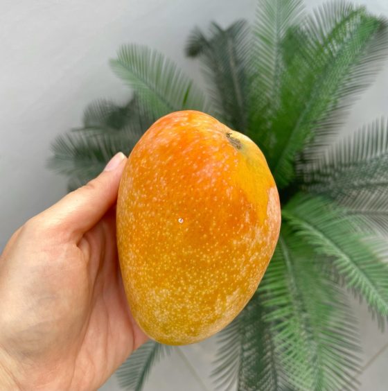 Den godaste mangon i världen - Emmas Julblogg